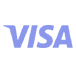 Visa Card Link Icon