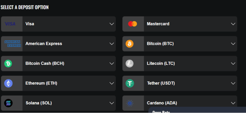 BetWhale Review: Sportsbook, Casino, Promos, Banking